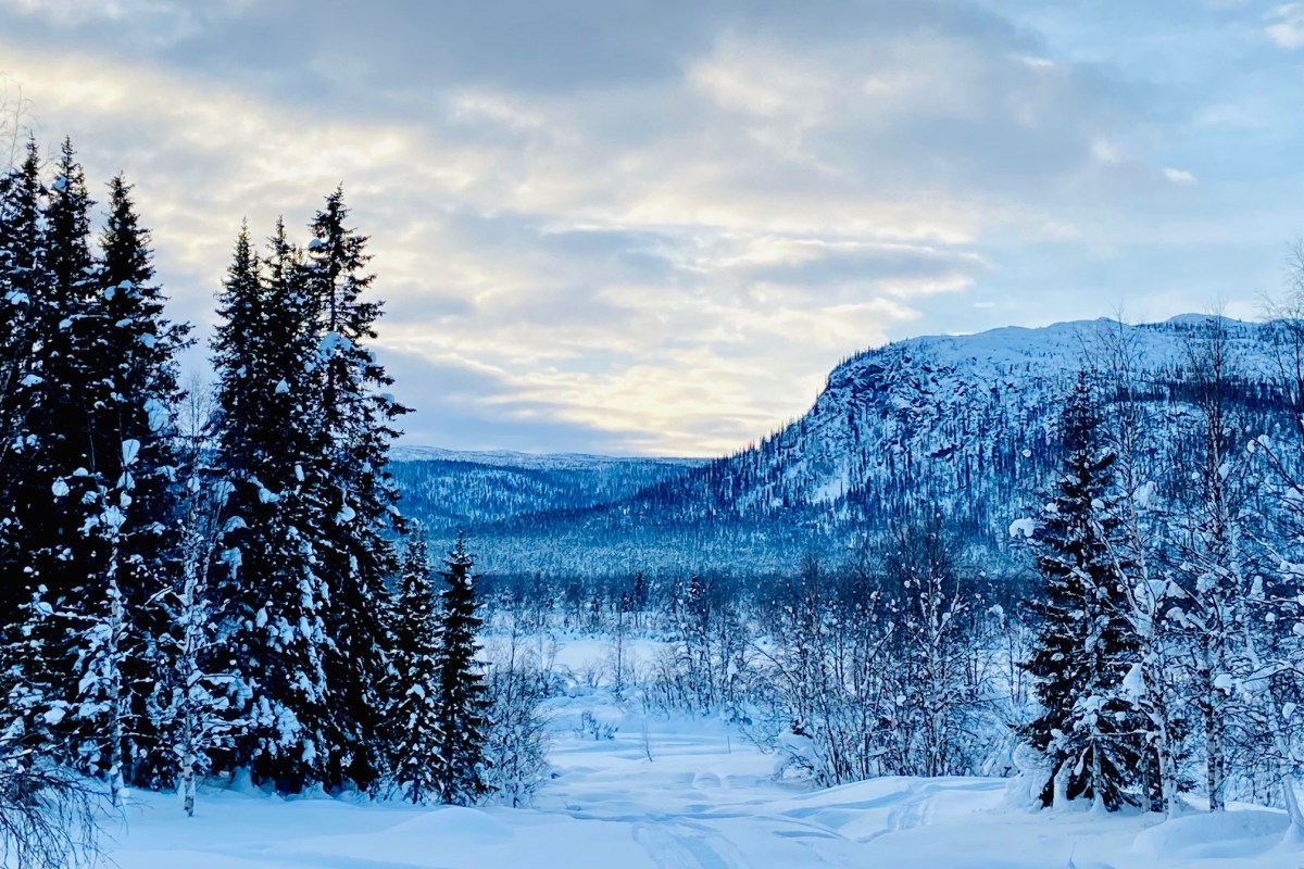 Sarek Expedition – Part 1 – The Gentleman Explorer